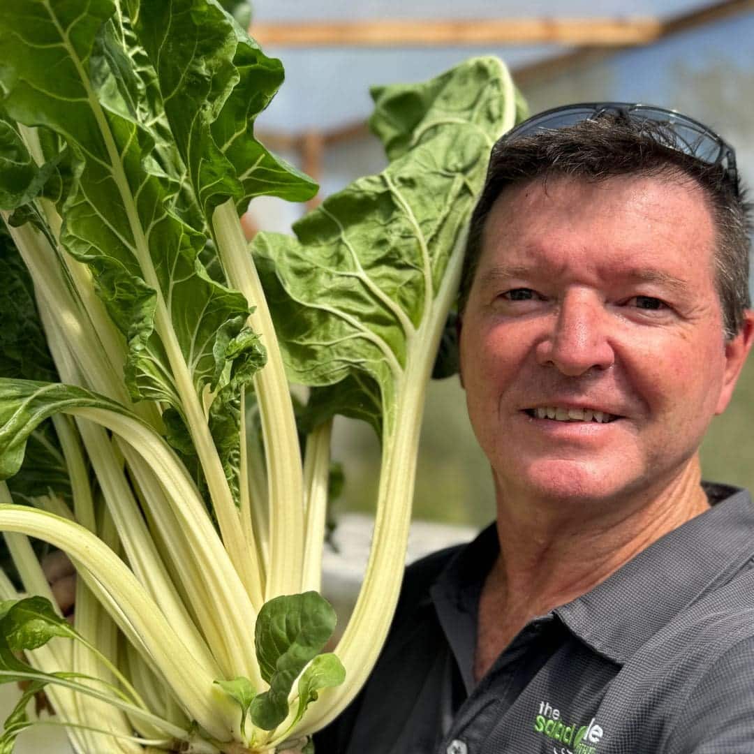 Enjoy fresh, homegrown produce all year round with The Salad Table hydroponic garden. Perfect ...