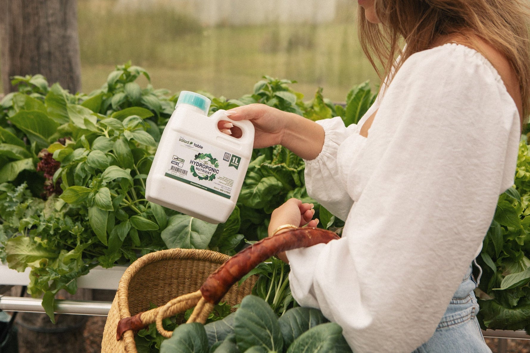 Everything You Need to Know About The Salad Table’s Hydroponic Nutrien