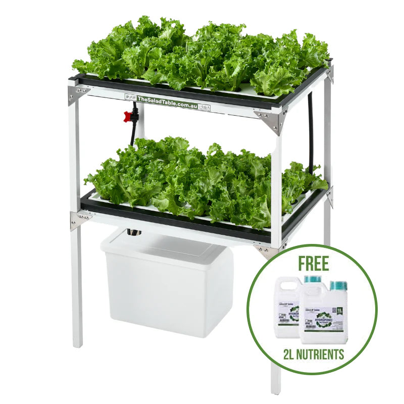 The Salad Bar – The Ultimate Home Hydroponic Garden for Any Space – The ...