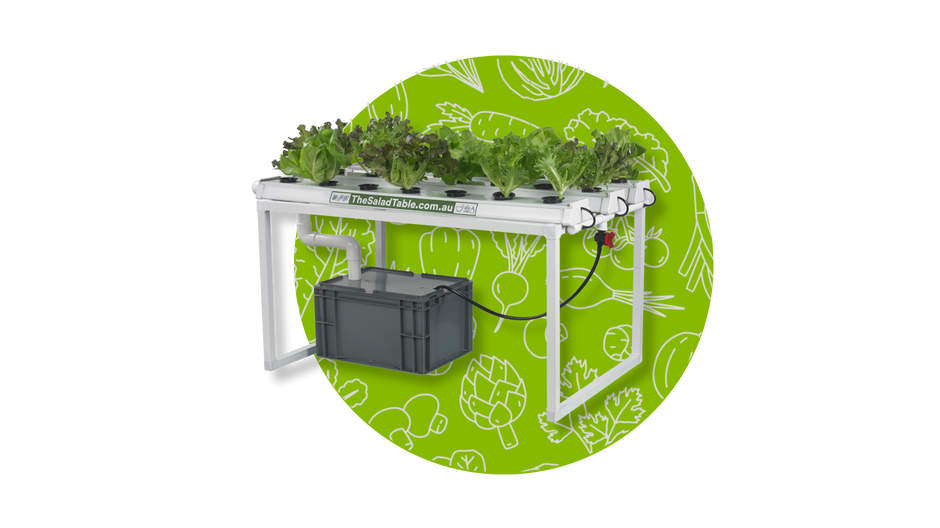 Home Hydroponic Farming: Easy for Everyone with The Salad Table