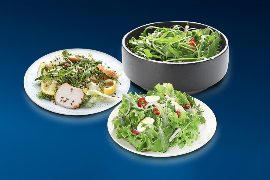 Home Hydroponic Farming: Easy for Everyone with The Salad Table