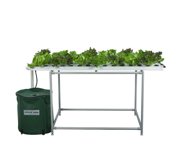 The Large Salad Table - The Salad Table