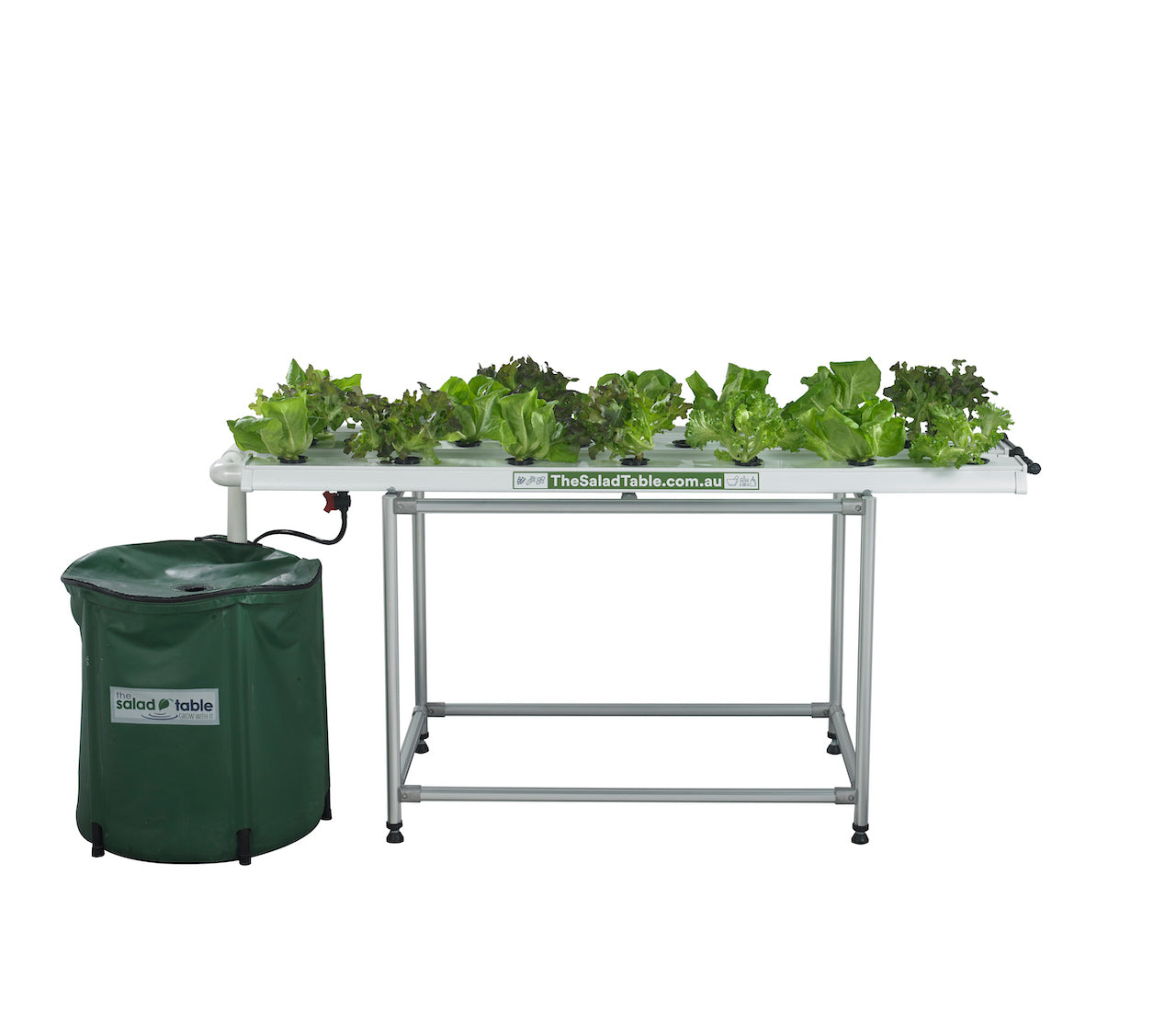 The Medium Salad Table – The Salad Table